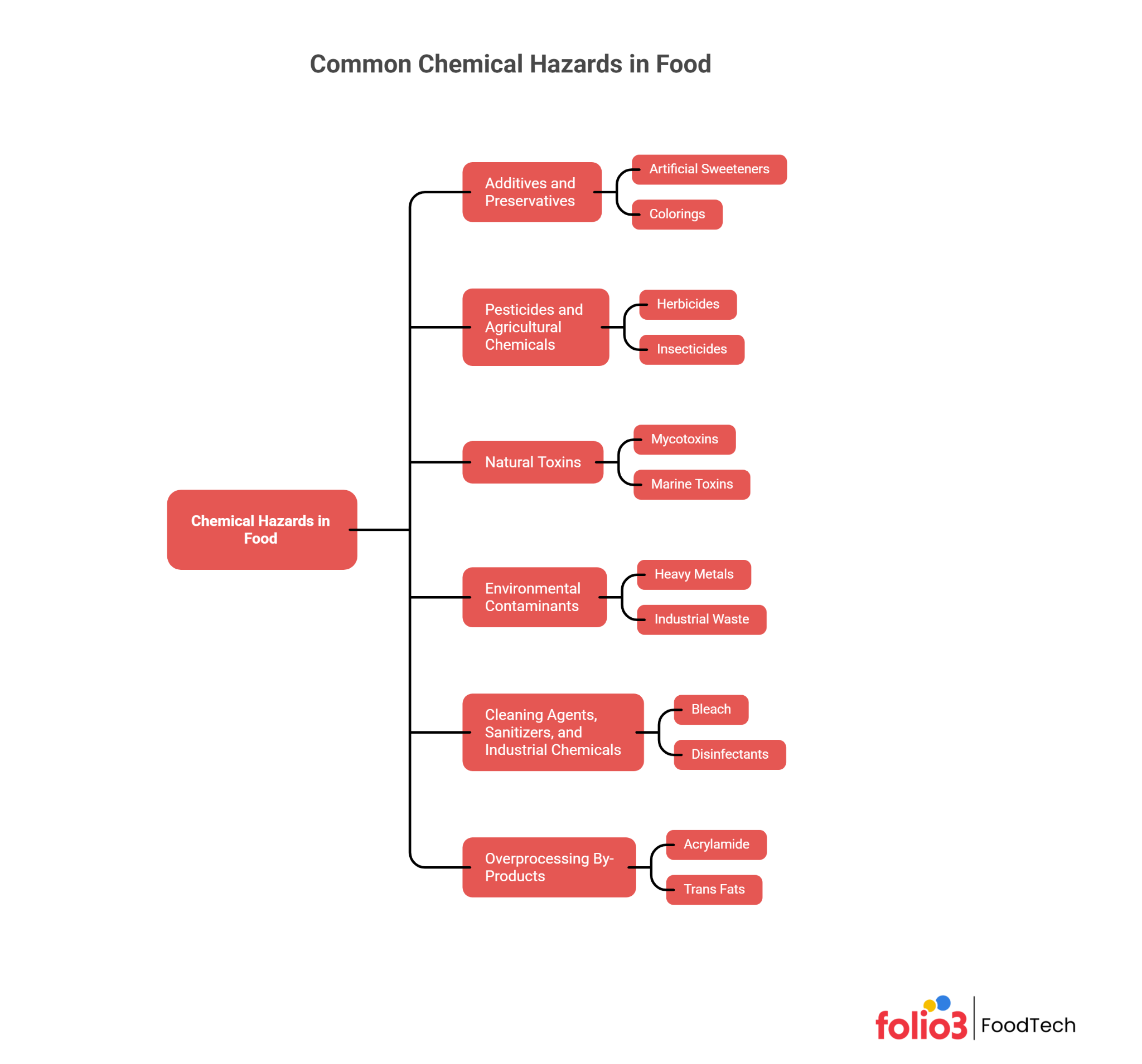 Chemical Hazards In Food: Key Examples & Minimizing Risks